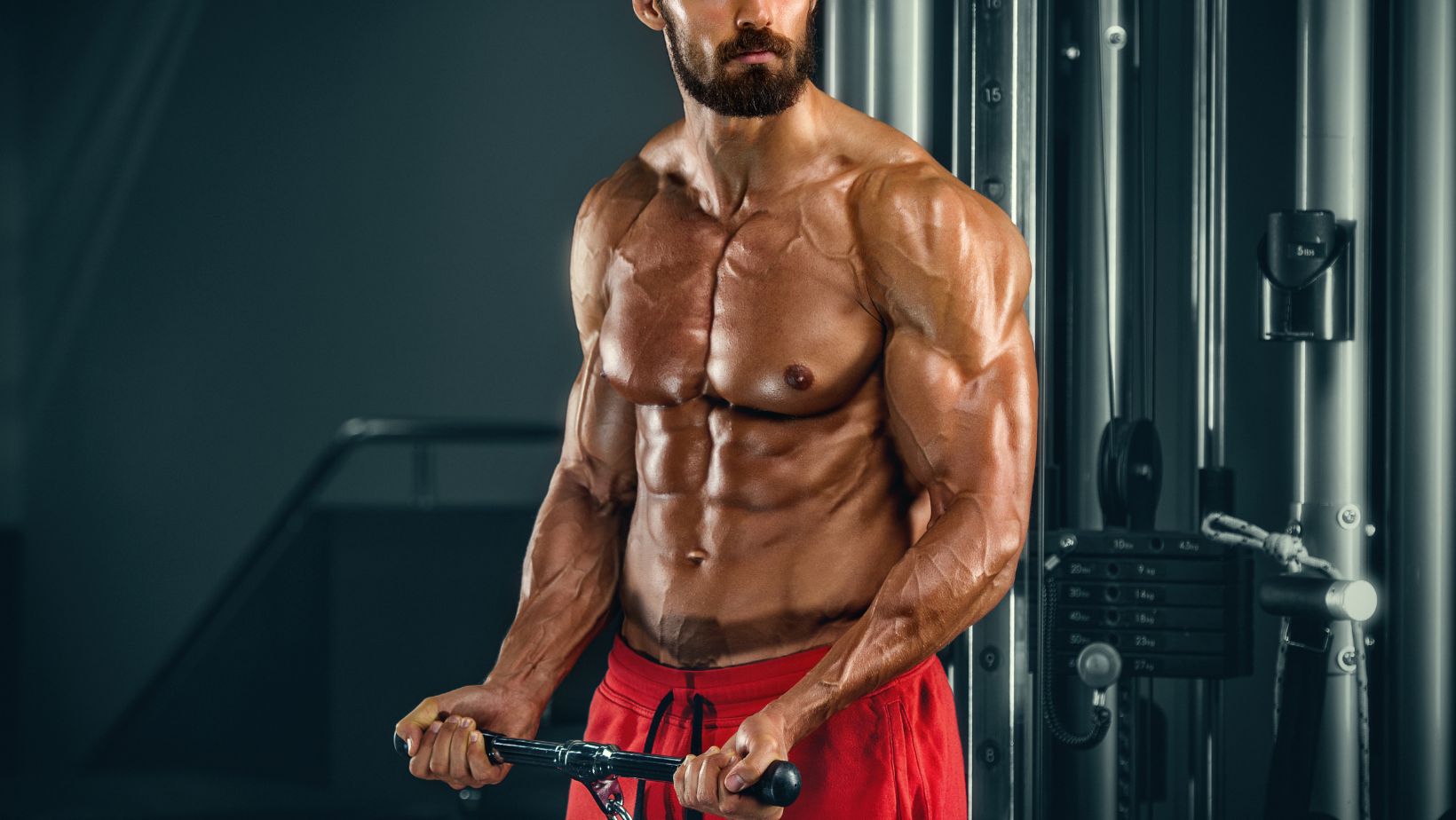 Exercises that Build Muscle: The Vital Role of Compound Workouts ...