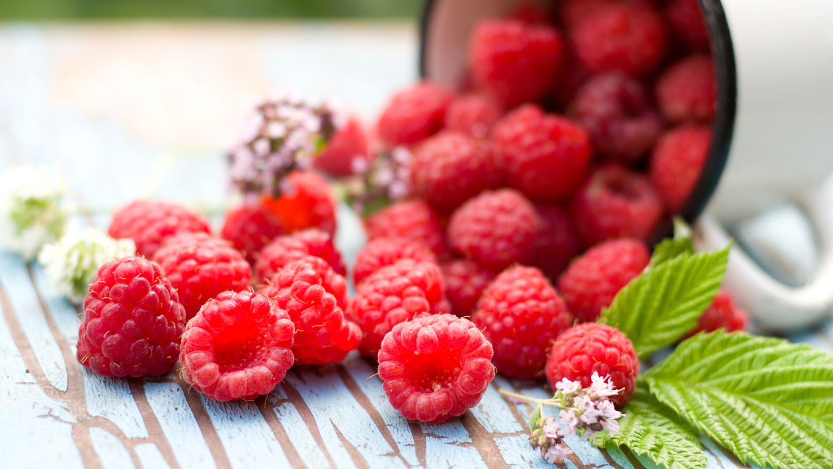 Raspberry Ketones and Ketosis: What You Need to Know – Simply Supplements